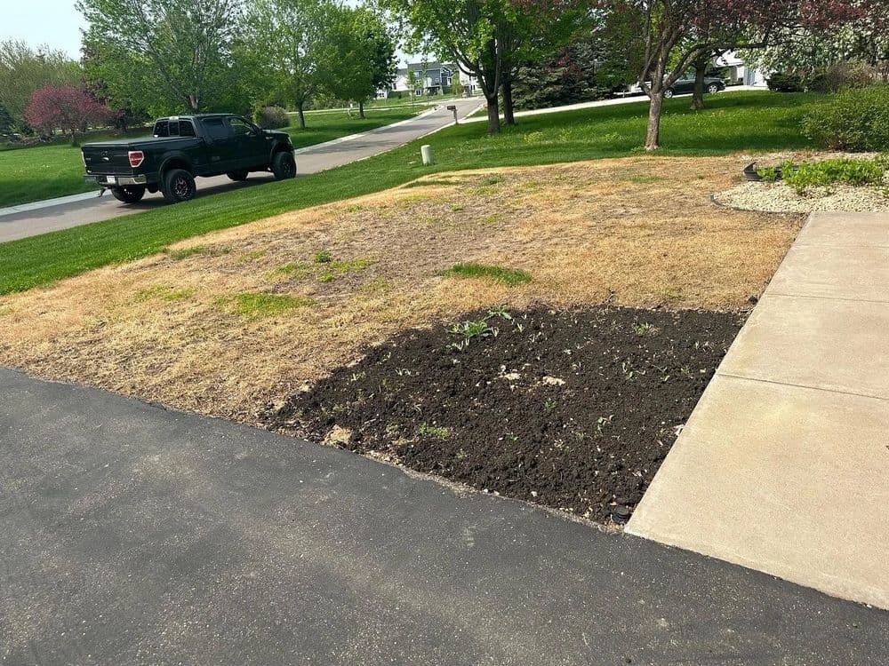 Expert Landscaping Services | Steiner Landscaping